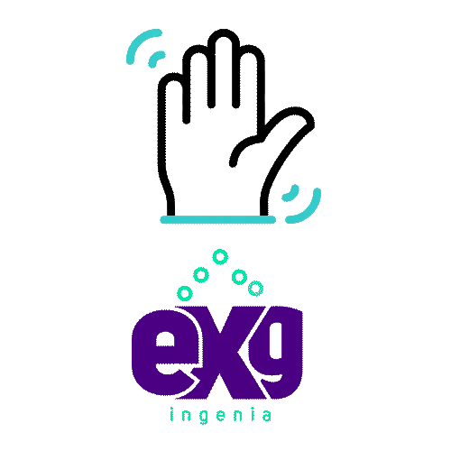 EXG Animado | Diseño de páginas web en tacna